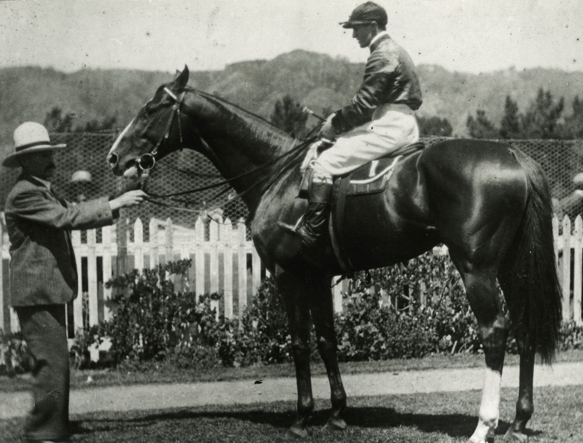 Trentham racecourse; "Achilles", Wellington Cup winner, 1907. [P3-518 ...